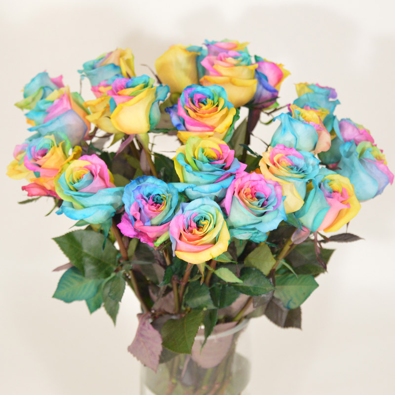 Roses: RAINBOW ROSES